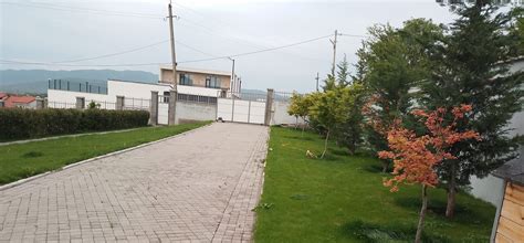 ბაღის მოვლა გამწვანება Tbilisi