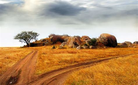 integrating historic data stands to improve climate models in the