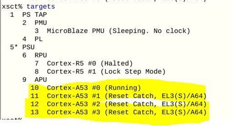 How To Run Applicaiton Using All Cores Of Cortex A53