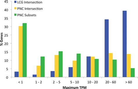 maximum transcript expression of potential non coding genes and likely