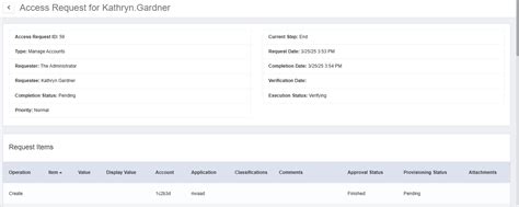 Jdbc Provisioning Access Request Shows Shows Provisioning Status Pending And Execution Status