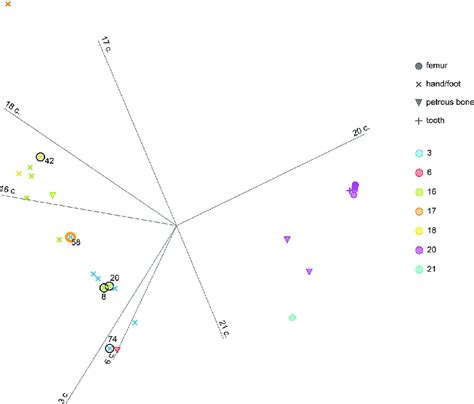 Linear Projection Of RF Model Based Classification Performed On Download Scientific Diagram
