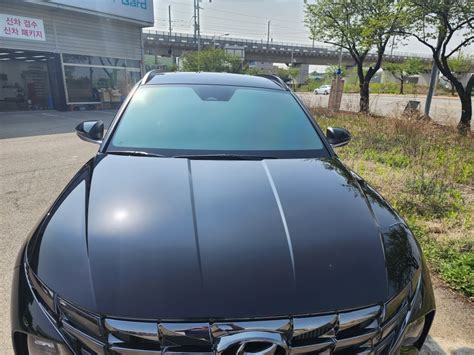 신형 투싼 가성비 짱 어보브 썬팅레트로r 30 10시공 경기도 평택시 팽성읍 자동차유리전문점 당근 비즈 소식