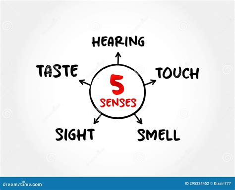 Five Basic Human Senses Touch Sight Hearing Smell And Taste Mind
