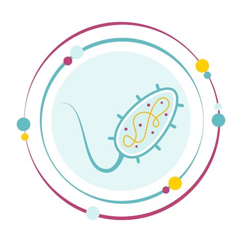 Pilus Vectors And Illustrations For Free Download Freepik