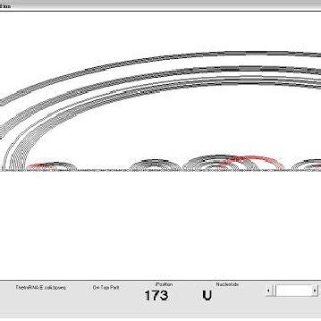 Visualization Of A Single Molecule Download Scientific Diagram