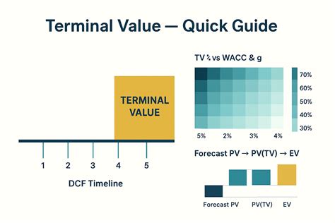 Terminal Value Definition Formula And Example In Dcf The Rich Guy Math