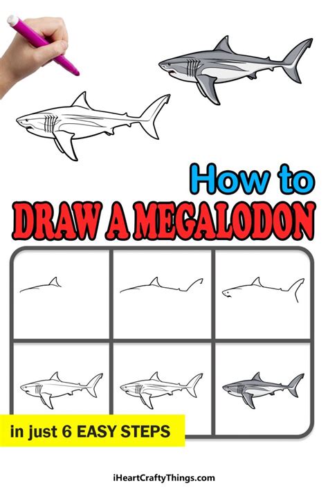 Megalodon Drawing How To Draw A Megalodon Step By Step