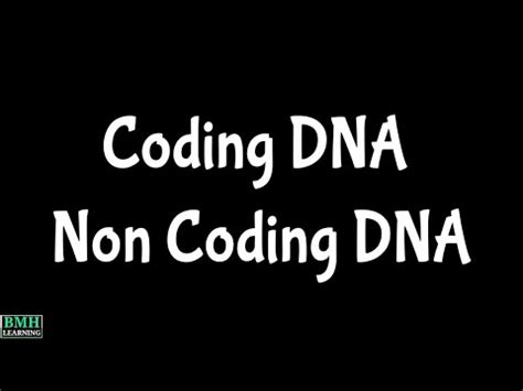 Coding DNA Non Coding DNA Coding Vs Non Coding DNA Coding Vs Non Coding Strand YouTube