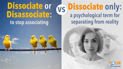 Dissociate Vs Disassociate Break Free From Grammar Errors