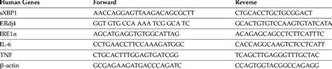 List Of Human Primer Sequences For Rt Qpcr Download Scientific Diagram