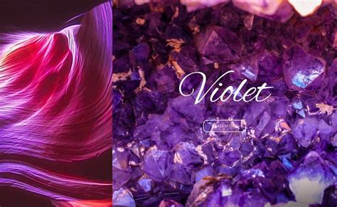 Violet Color Trend Css Template By Nicepage