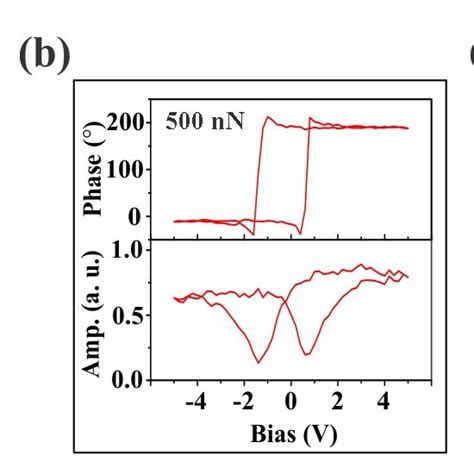 Figure S1 Electrically Induced Reversal Of Ferroelectric Polarization