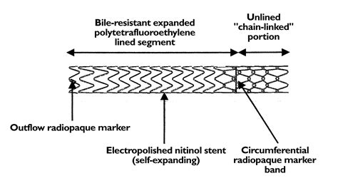 Polytetrafluoroethylene Graft