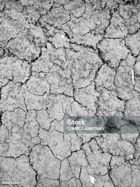 건조 금이 지구 땅 탈수 문제 지구 온난화 기후 변화 흑백 색상 자연 질감 추상 배경에서 균열 0명에 대한 스톡 사진 및 기타 이미지 Istock