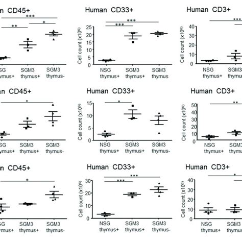 Absolute Numbers Of Human T Cells And Myeloid Cells Isolated From