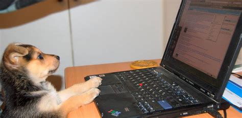 Four Steps To A Simpler Safer Password System