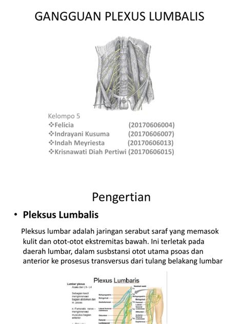 Gangguan Plexus Lumbalis Pdf