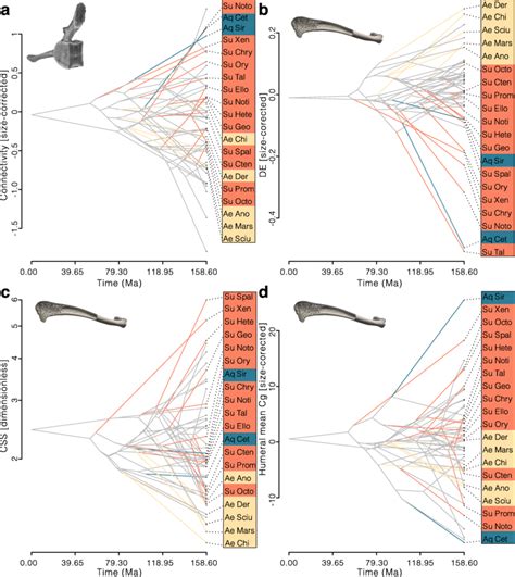 Trait Convergence Among Mammalian Lifestyles Phenograms Depicting