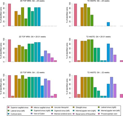 Veins Represented At 2d Mra Tof And T2 Haste Images In Different Groups Download Scientific