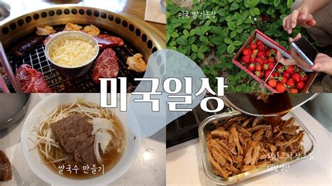Eng 미국 집밥 일상 Vlog 장보기 Pho 육수 가루로 쌀국수 만들기 돼지고기 장조림 딸기농장체험 🇰🇷
