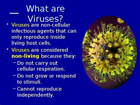 Viruses Ppt And Biodiversity Ppt Viral Features And Shapes Biology Diversity Of Life