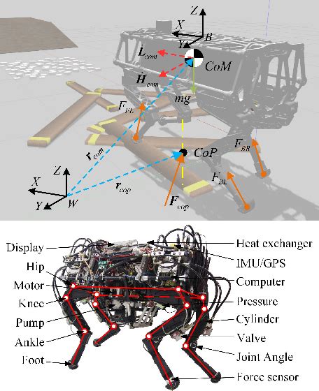 Figure 11 From Exploring Dynamic Locomotion Of A Quadruped Robot A