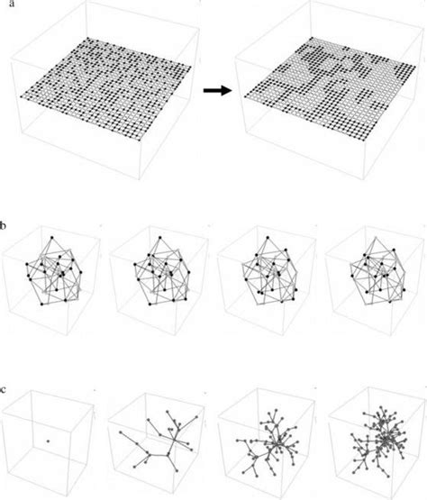 modeling complex systems with adaptive networks artofit