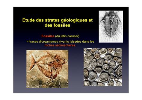 Fossilisation Datations