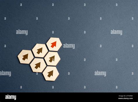 Group Movement Common Interest Problem Solving Set A Course Leadership Skills Single Group