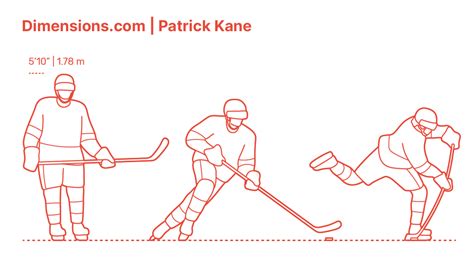 Ice Hockey Puck Dimensions And Drawings
