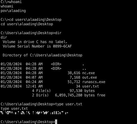 pov hackthebox 喵喵喵喵 愚かな人間