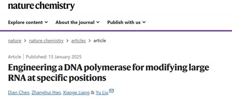 Introduction Of Multiple Modifications In Rna Using Engineered Dna
