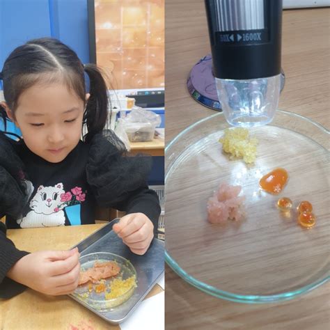 꽃게와 알 그리고 톱니바퀴와 비행기 와이키즈 서포터즈 와이맘k 다이어리