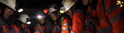 Especialización En Gestión De Costos Y Finanzas En Minería Ise