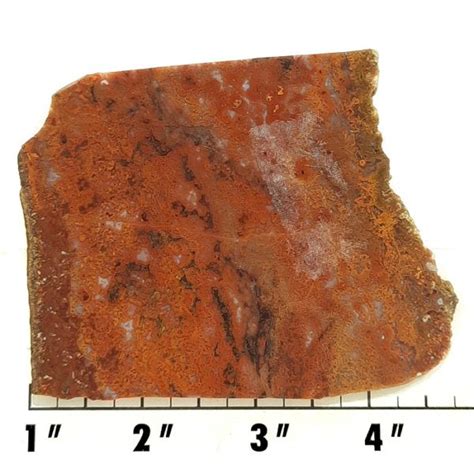 Slab Red Moss Agate Slab Copper Canyon Lapidary Jewelry