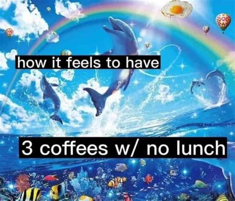 Lunch Memes 27 Relatable Lunch Memes That Hit The Spot