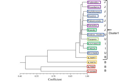 Dendrogram For 16 Arachis Accessions Based On Cluster Analysis Of The