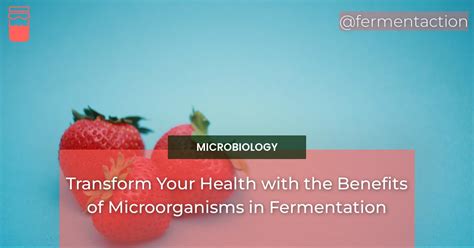 Transform Your Health With The Benefits Of Microorganisms In Fermentation Fermentaction