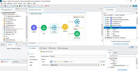 Retrieve Values From Object Store Mulesoft Tutorials
