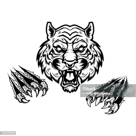 호랑이 머리와 발톱 엠블럼 사인 포스터 티셔츠디자인 요소 벡터 일러스트레이션 볼테르 인조에 대한 스톡 벡터 아트 및 기타 이미지 볼테르 인조 호랑이 갈고리 발톱