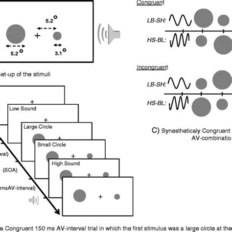 a schematic layout of the stimuli participants viewed a fixation cross
