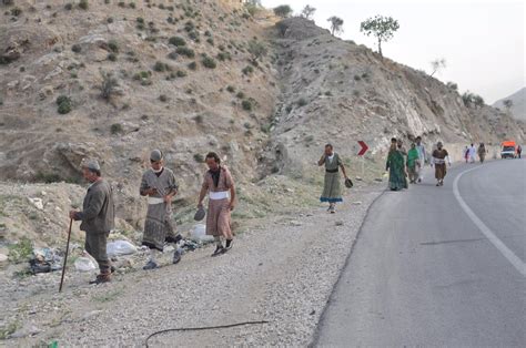 کوچ ایل قشقایی به پاهای شما بوسه میزنم و این بوسه چه