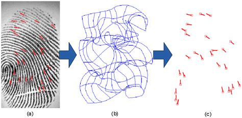 Biometric Template Security