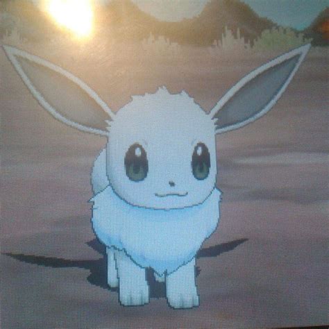 Shiny Eevee From 1 Egg Pokéverse™ Amino