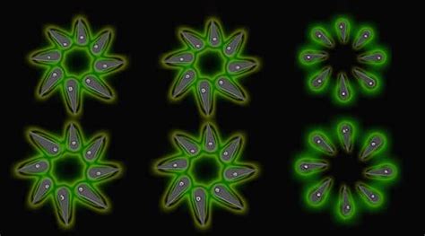 Whats The Difference Between Python And Micropython Electronic Design