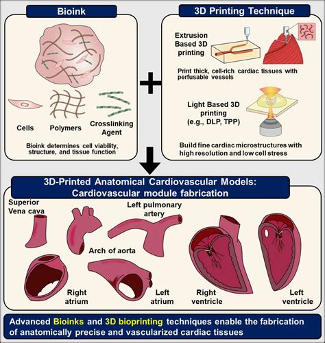 Three Dimensional Printing And Bioprinting Strategies For Cardiovascular Constructs From