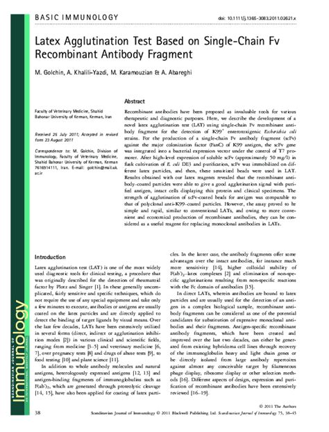 Pdf Latex Agglutination Test Based On Single‐chain Fv Recombinant Antibody Fragment Mehdi