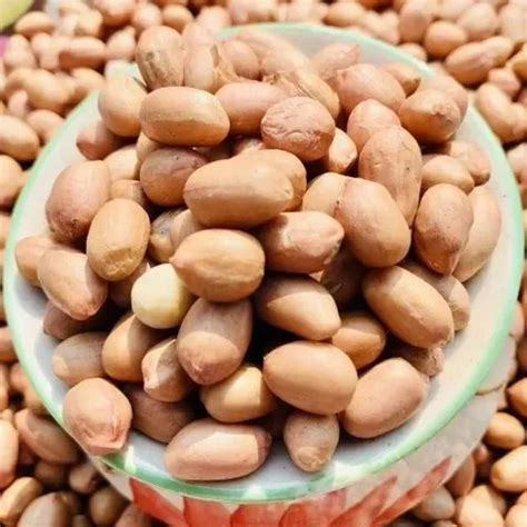Peanut Testing Service At Rs 750service In Ghaziabad Id 26630810655