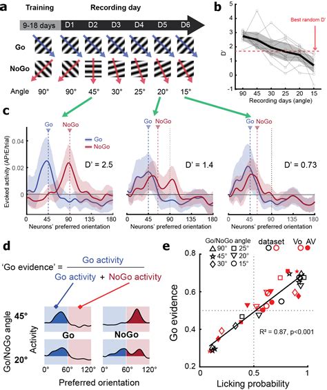 Publications Polack Lab